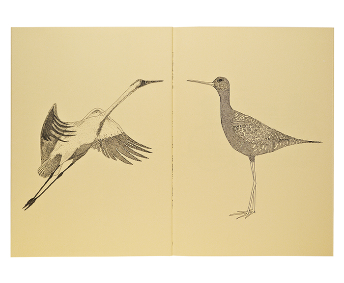 Things | Nigel Peake